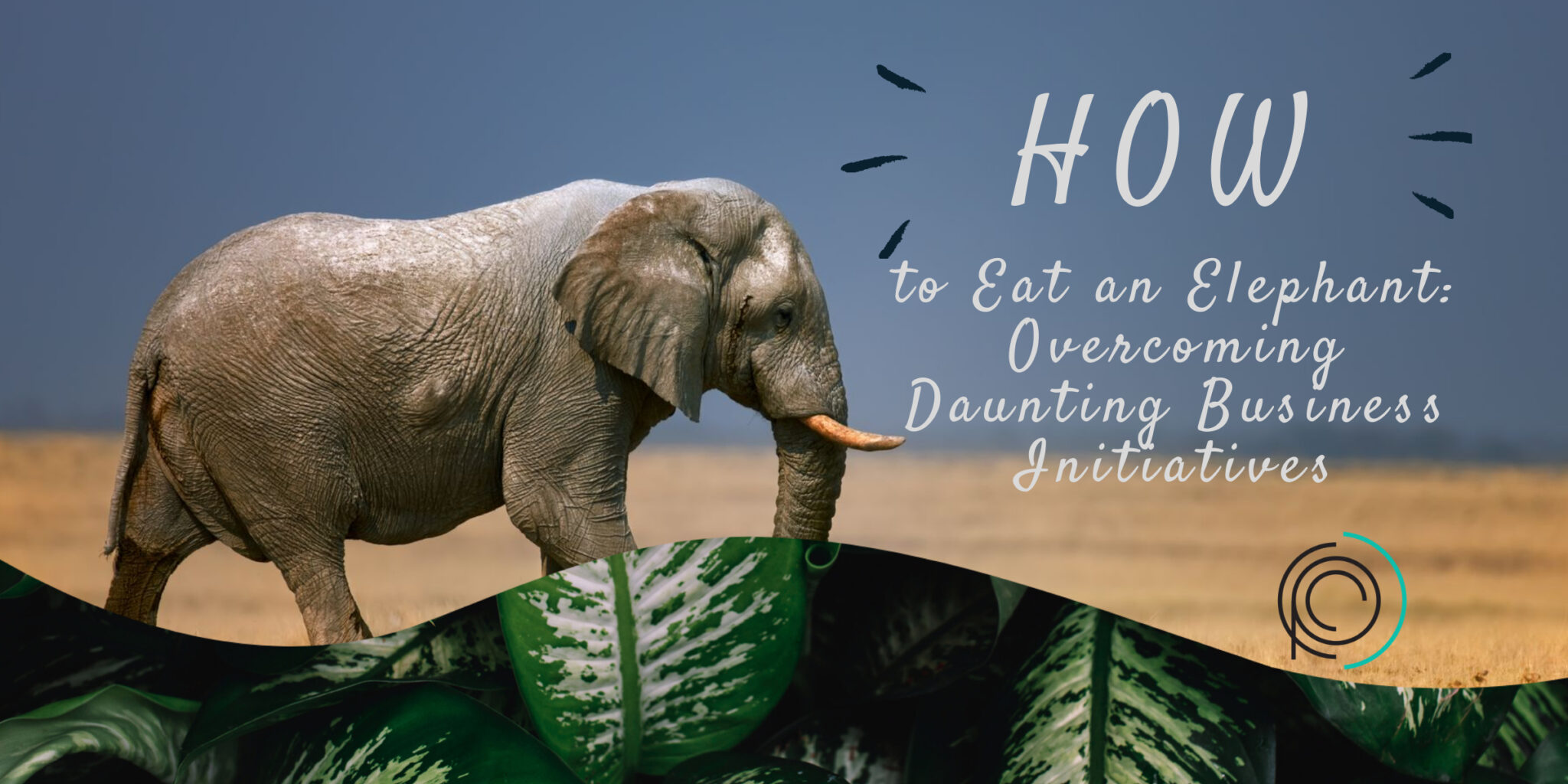 How to eat an elephant - overcoming daunting business initiatives